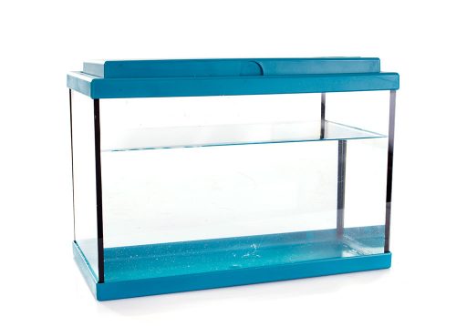 Cleaning Your Aquarium: Learn How to Clean Like a Pro with These 6 Tips