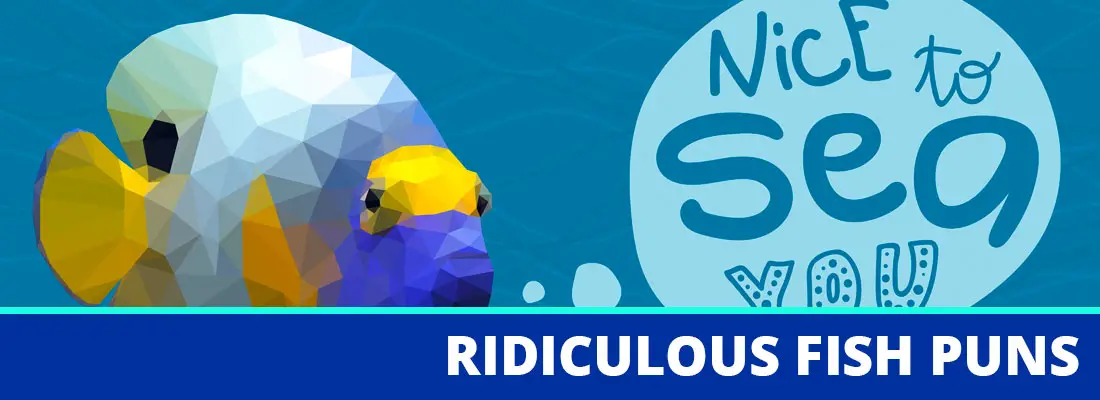 The Ultimate List of 154 Fish Puns That Will Krill You With Laughter!