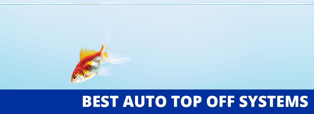 Auto Top Off System: The Best for Your Aquarium | 2022 Reviews