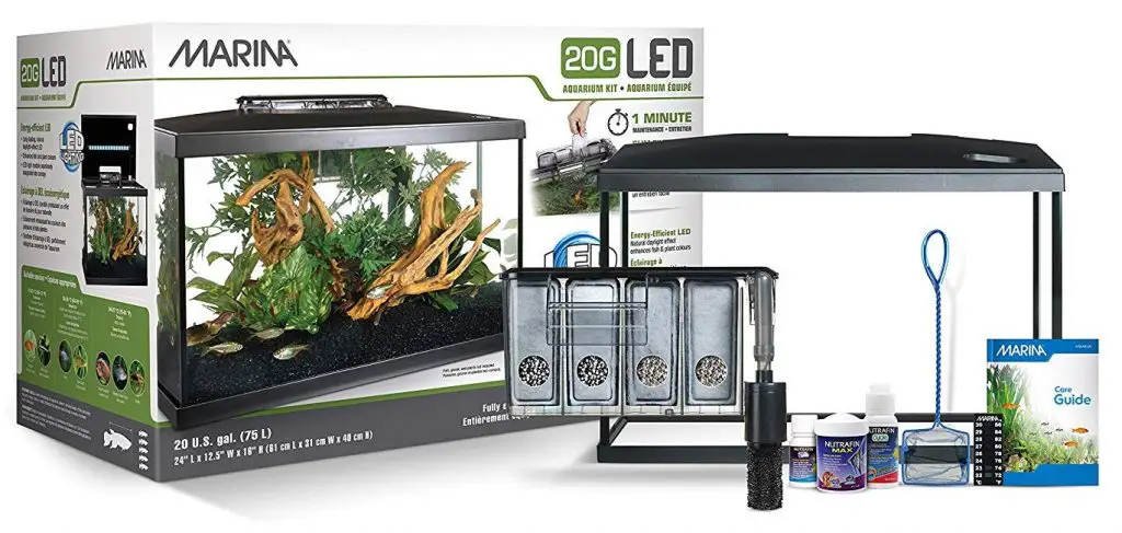 Self-Cleaning Aquarium Choices | Reviews and Tank Ratings for 2024